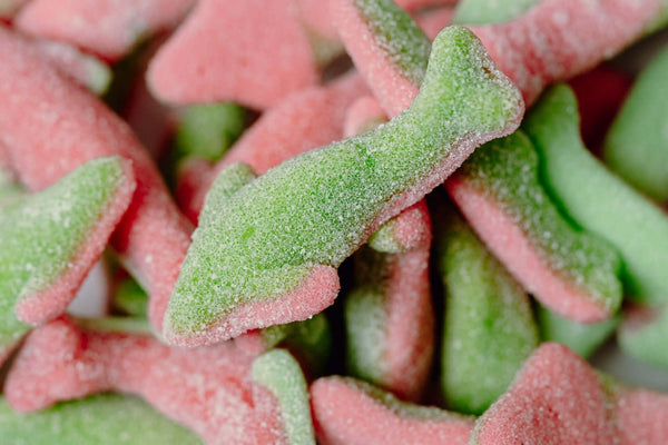 Trolli Sour Watermelon Sharks - The Biggest Lollie Shop In The World